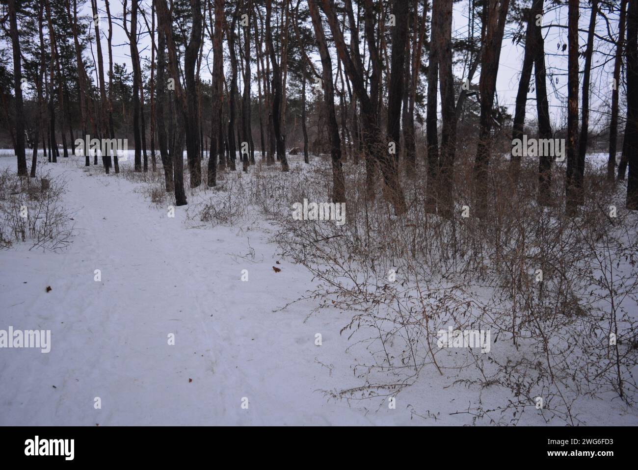 Beautiful mounds hi-res stock photography and images - Alamy