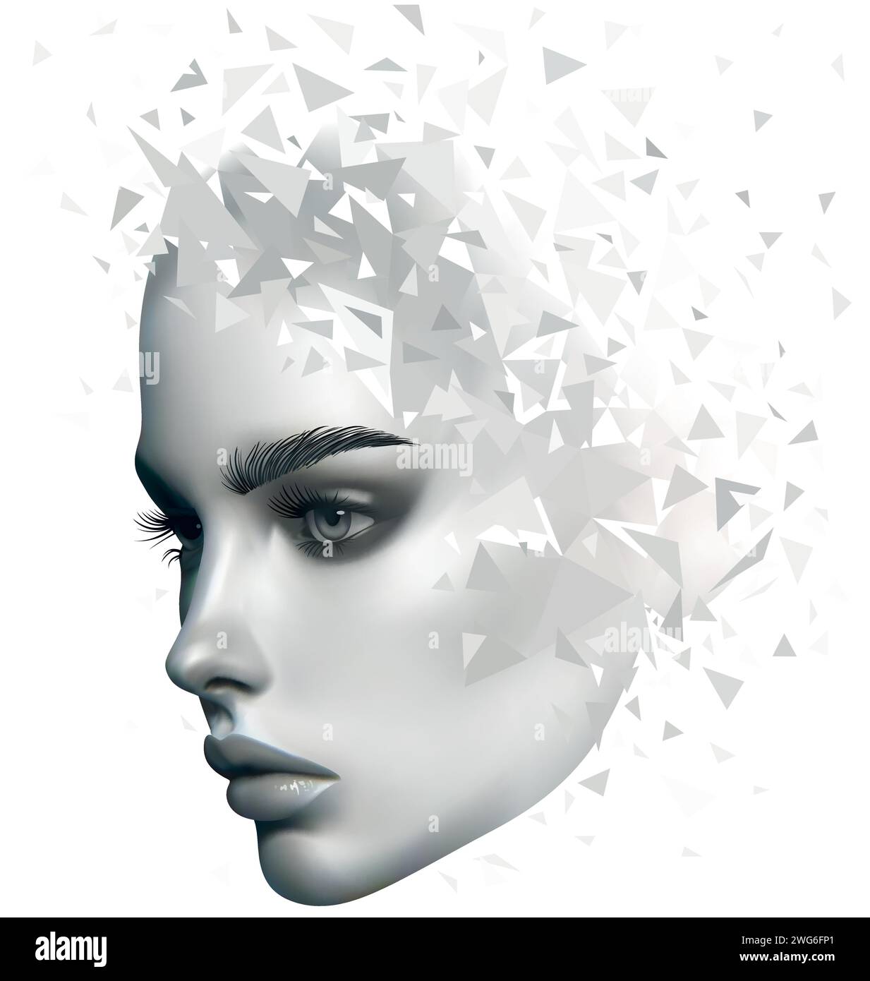 Drawing of a Beautiful Woman Face Disintegrating into Fragments Stock ...
