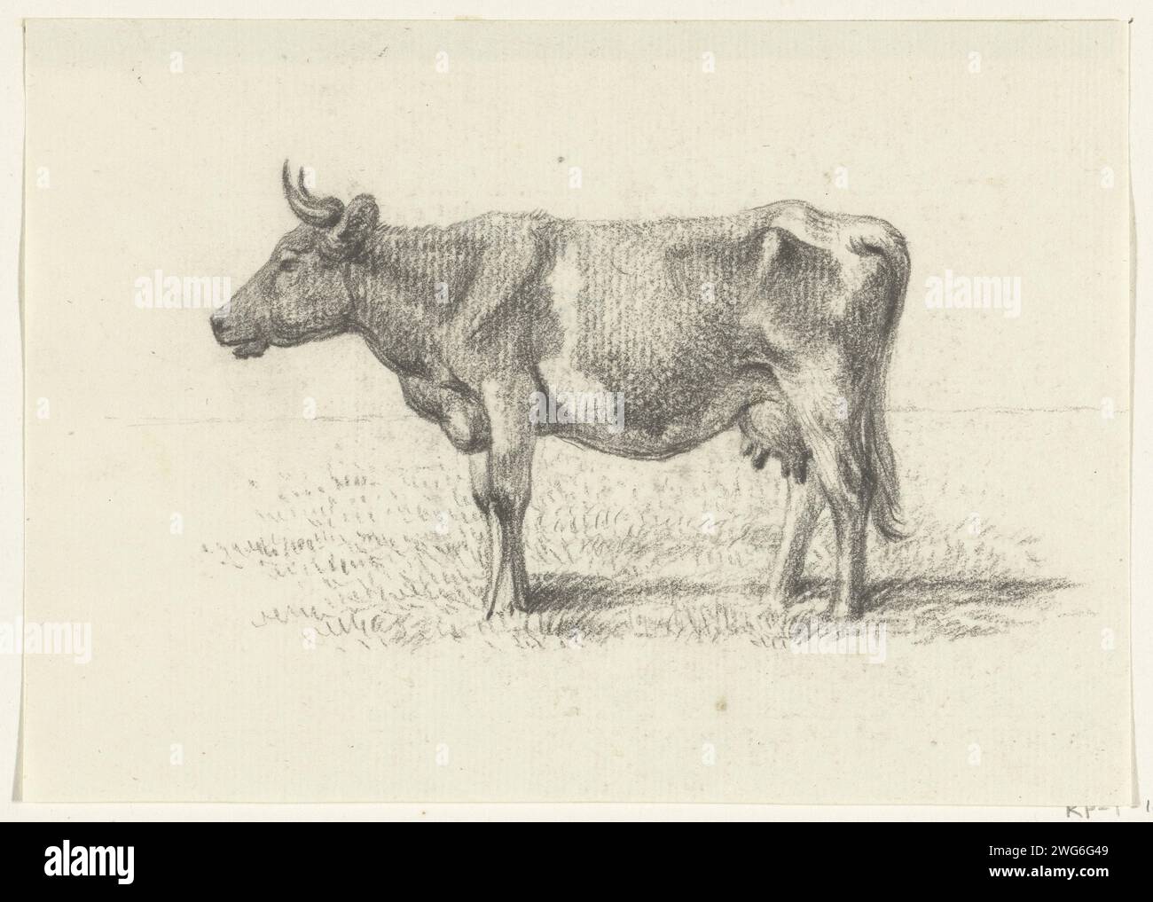 Standing cow, to the left, Jean Bernard, 1775 - 1833 drawing paper ...
