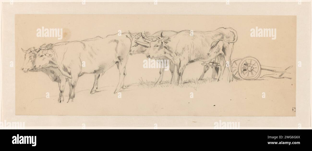 Four oxen, tense for a team, Johan Daniël Koelman, 1841 - 1857 drawing ...