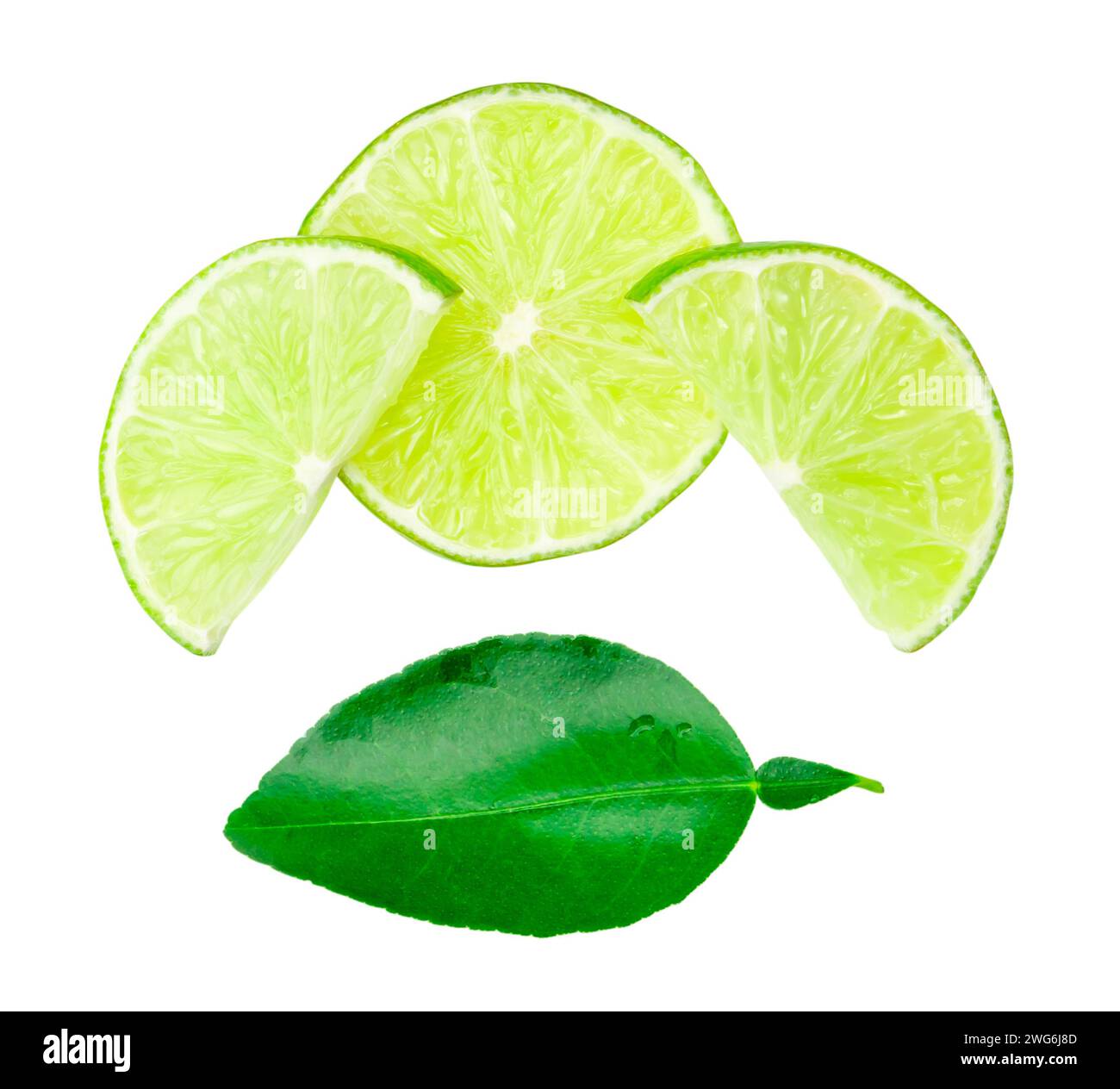 Top view set of fresh green lemon slices in stack with leaf is isolated on white background with ...