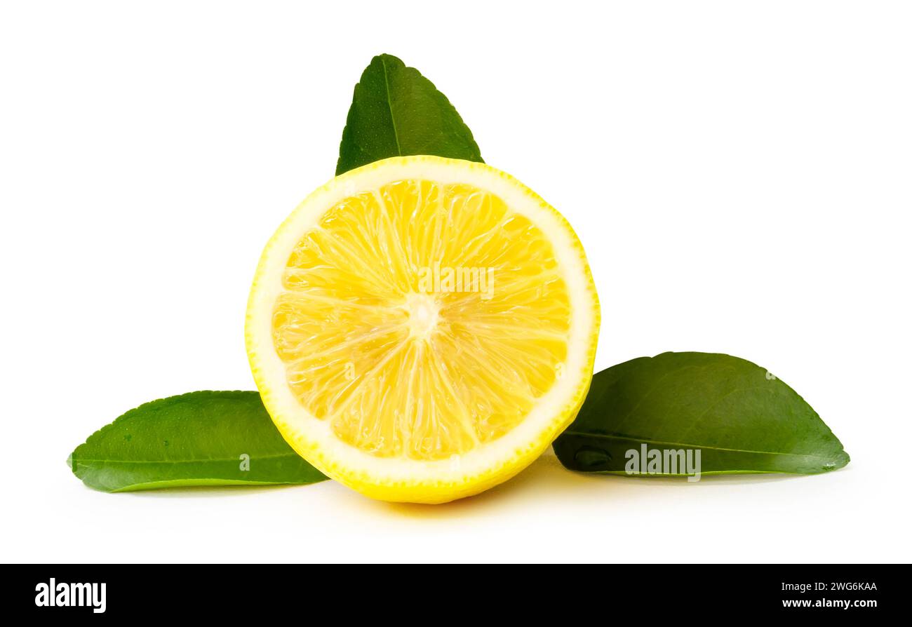 Front view of fresh yellow lemon half with leaves is isolated on white ...