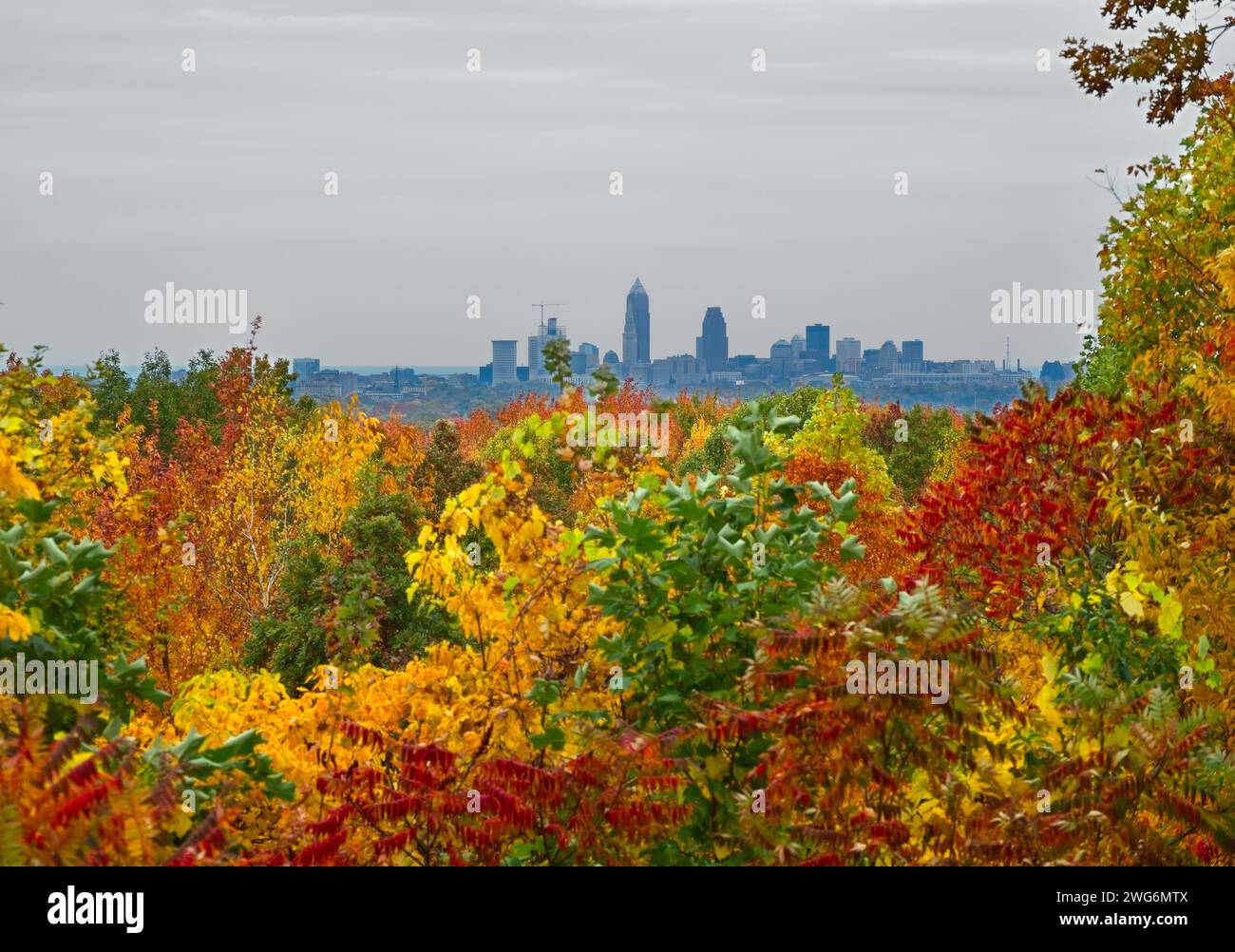 The Cleveland Ohio skyline seen from a distant high point amid autumn ...