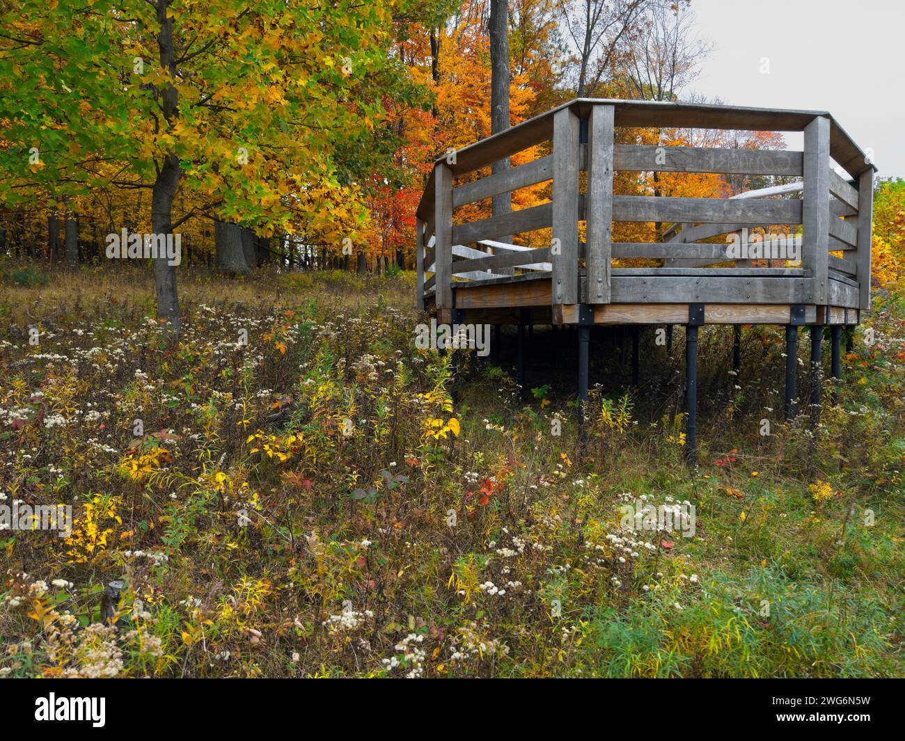 A trailside platform affords a scenic overlook in a Cleveland nature ...