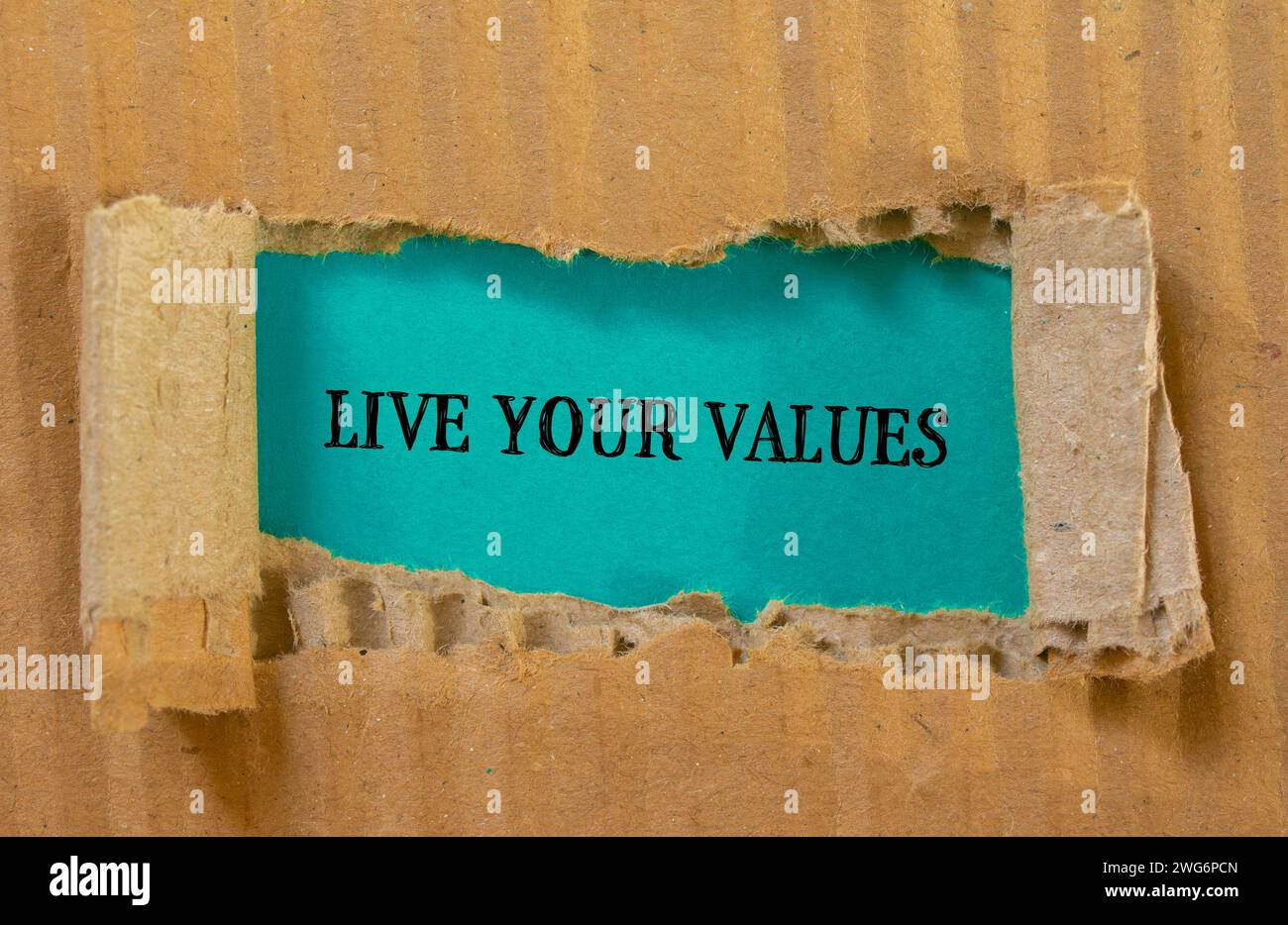 Live your values words written on torn cardboard paper with blue ...