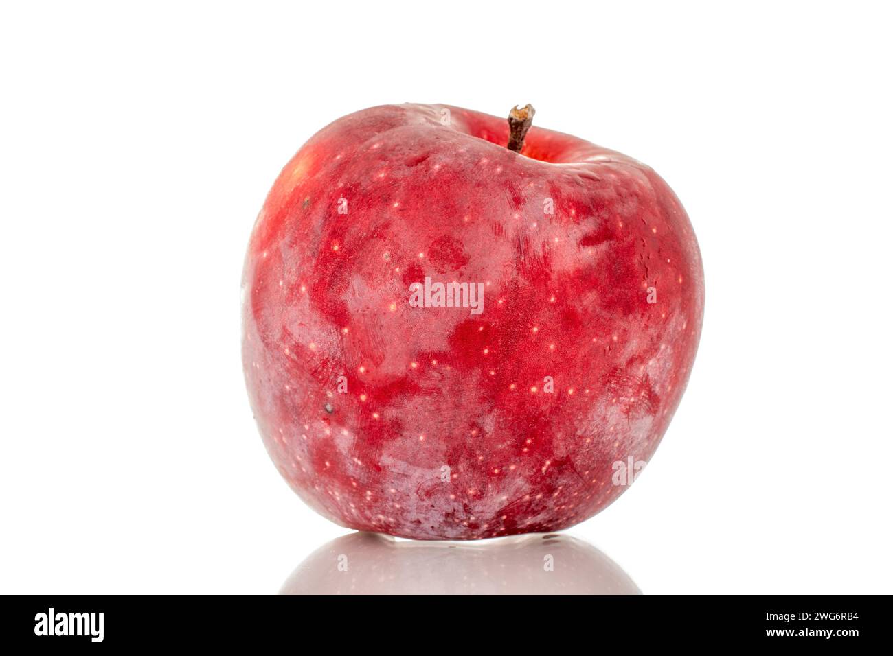 One red sweet apple, macro, isolated on white background Stock Photo ...
