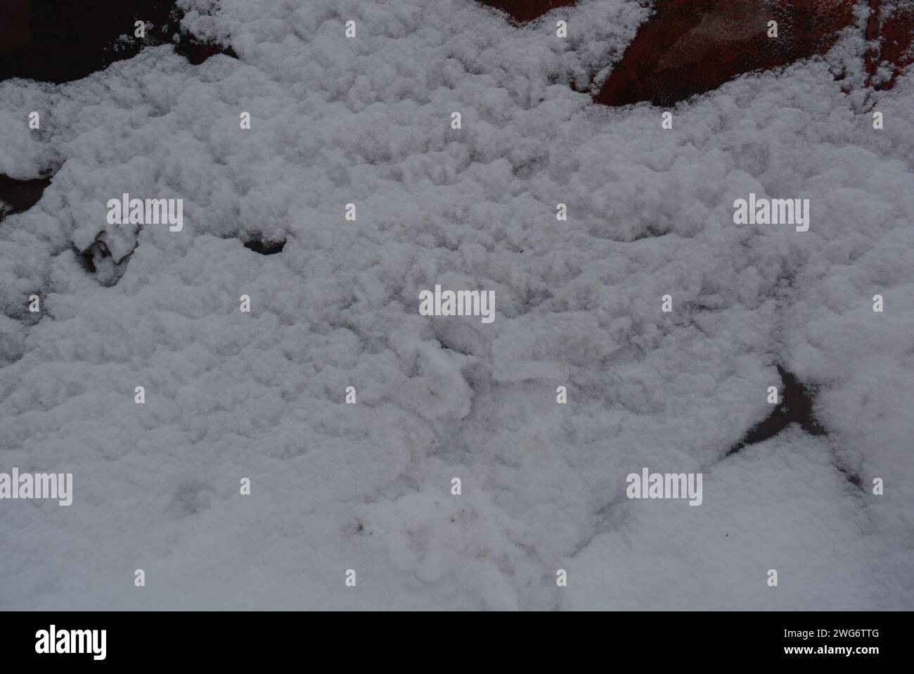 Winter background, adhering snow, beautiful cut of large snow on a ...
