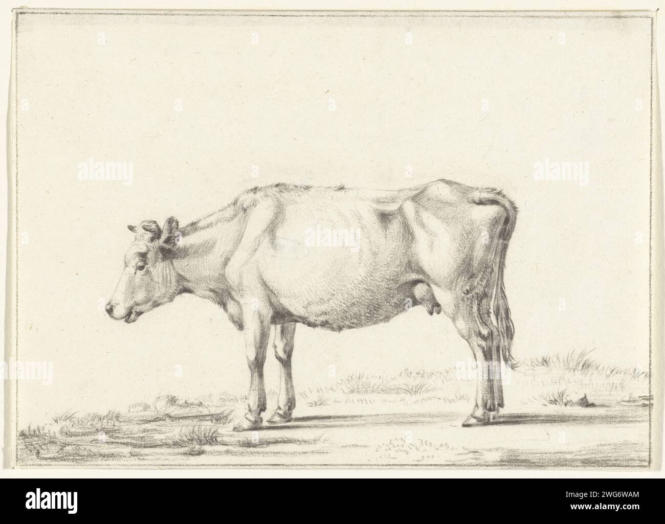 Standing cow, to the left, Jean Bernard, 1775 - 1833 drawing paper ...