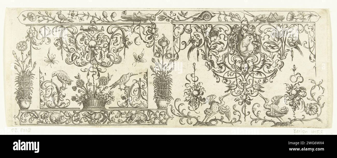 Insects in a container hi-res stock photography and images - Alamy