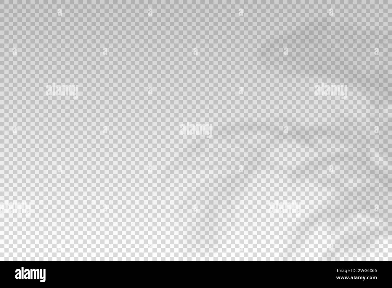 Palm tree branches on transparent Stock Vector Images - Alamy