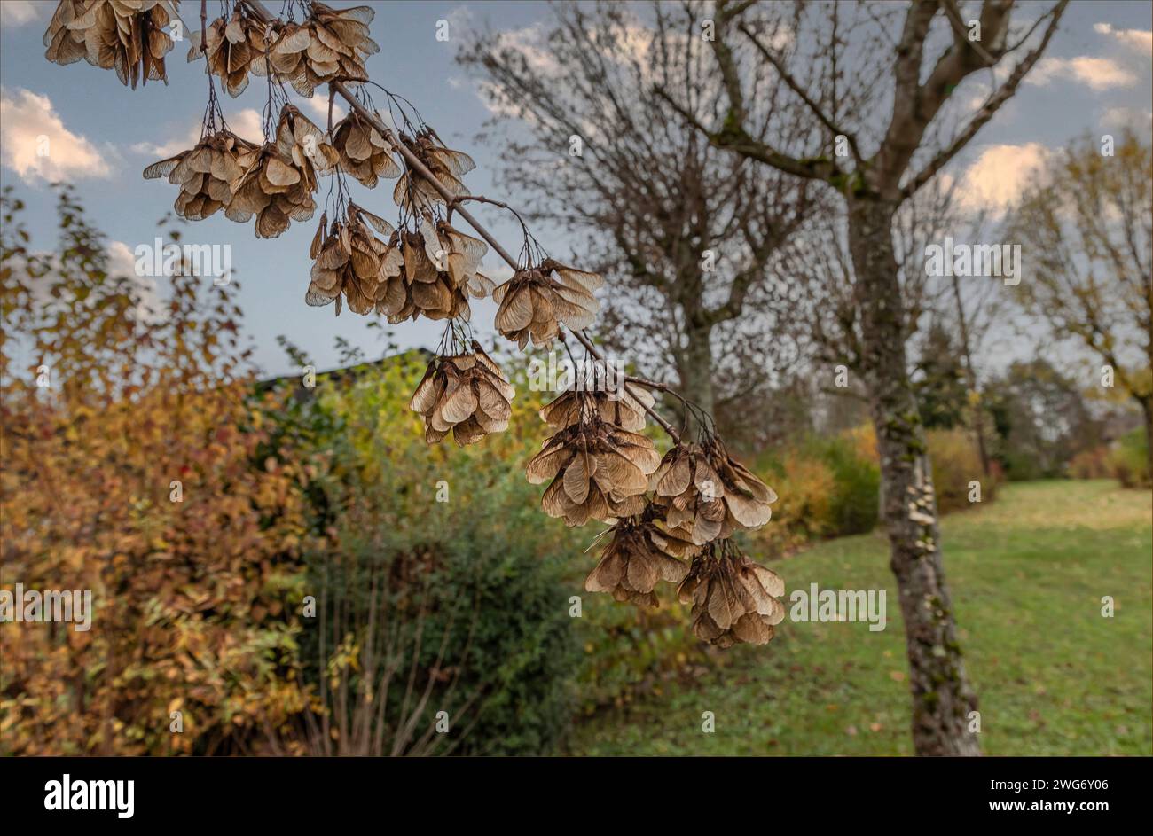 Seeds of change hi-res stock photography and images - Alamy