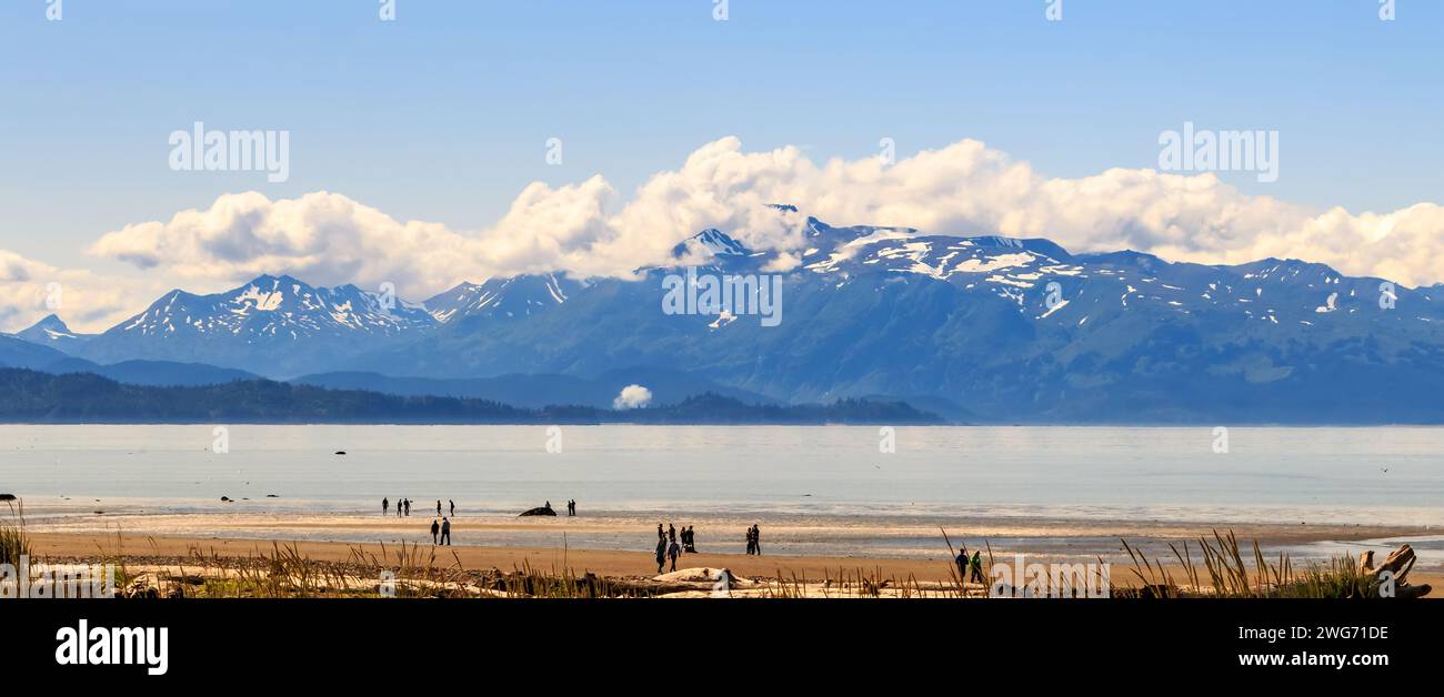 Beach on the Homer Spit, Homer, Alaska Stock Photo - Alamy