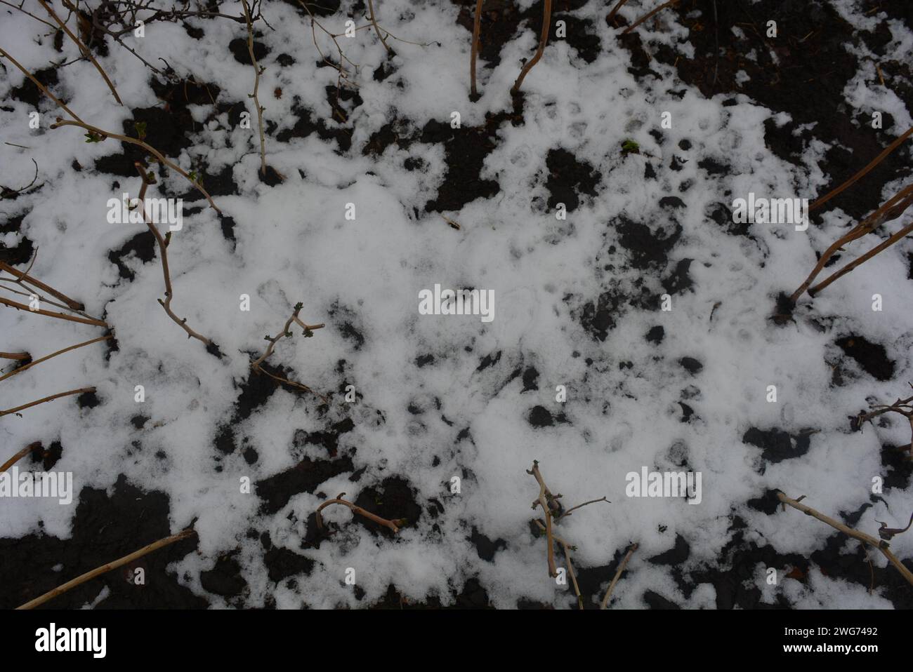 Melting period hi-res stock photography and images - Alamy