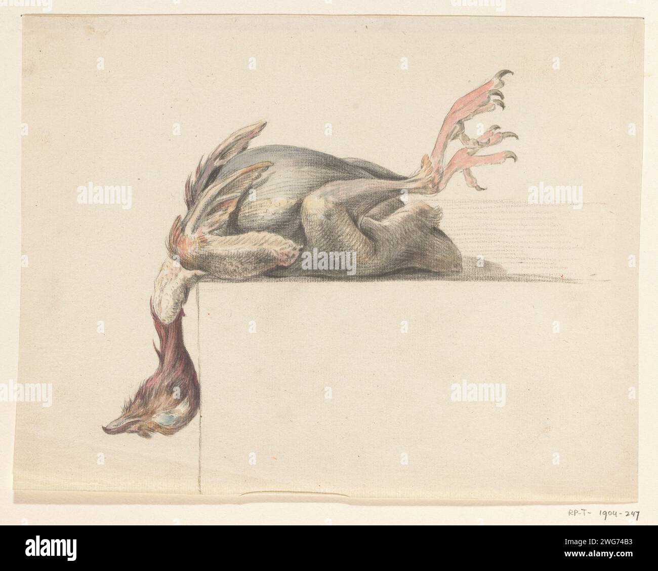 Picked bird, hanging with the head down, Jean Bernard, 1775 - 1833 ...