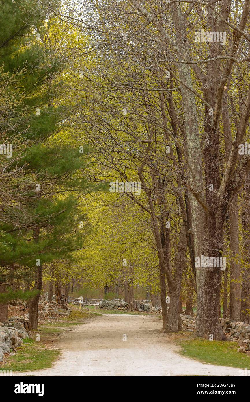 This road leads to the Battle Road Trail in historic Massachusetts ...