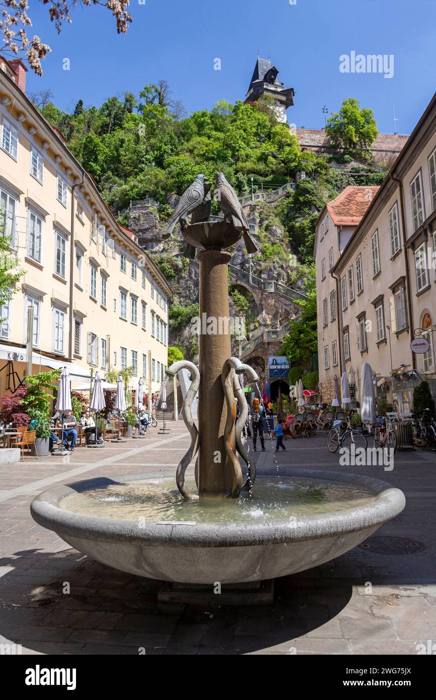 Bronzetauben hi-res stock photography and images - Alamy