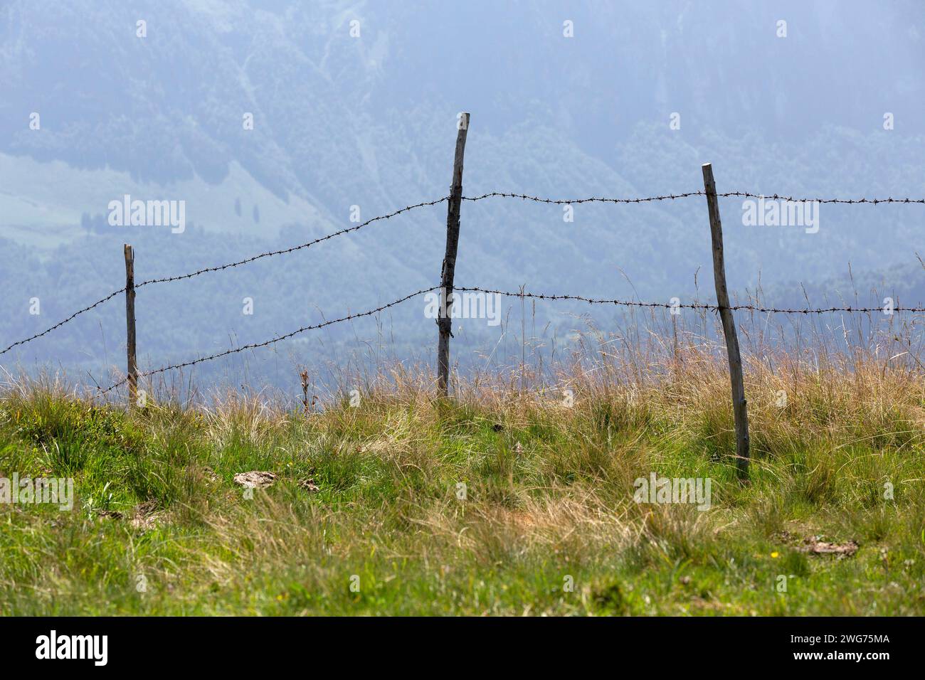 Barbed Wire Fence Stock Photo - Alamy
