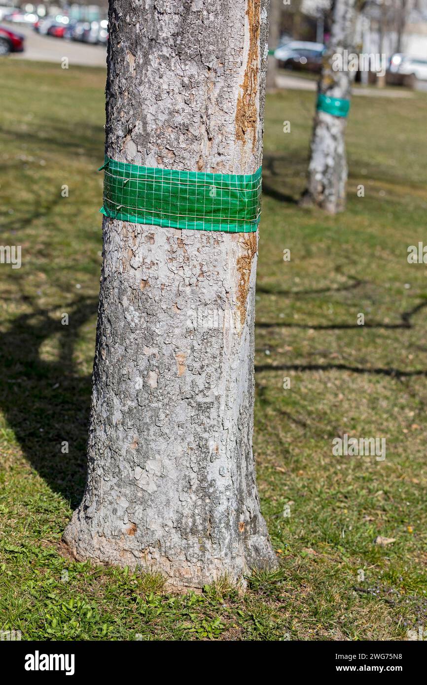 Glue rings hi-res stock photography and images - Alamy