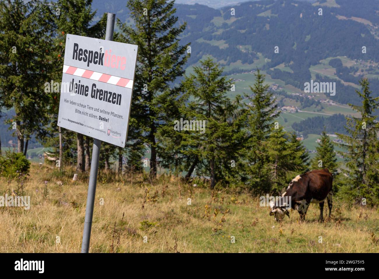 Shield, Respect Your Borders, Bregenzerwald, Vorarlberg, Austria Stock ...