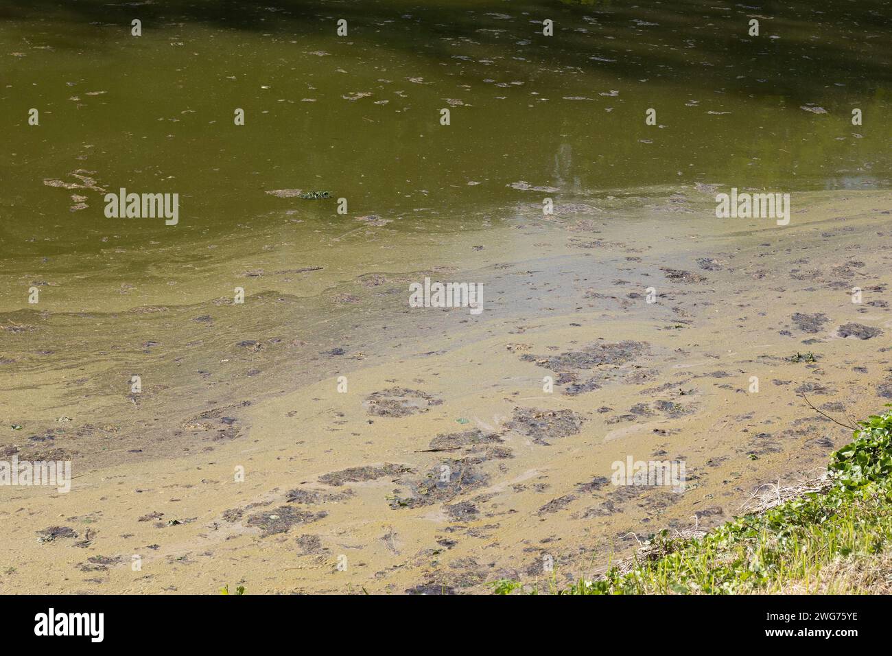 Tipping Of A Water Stock Photo - Alamy