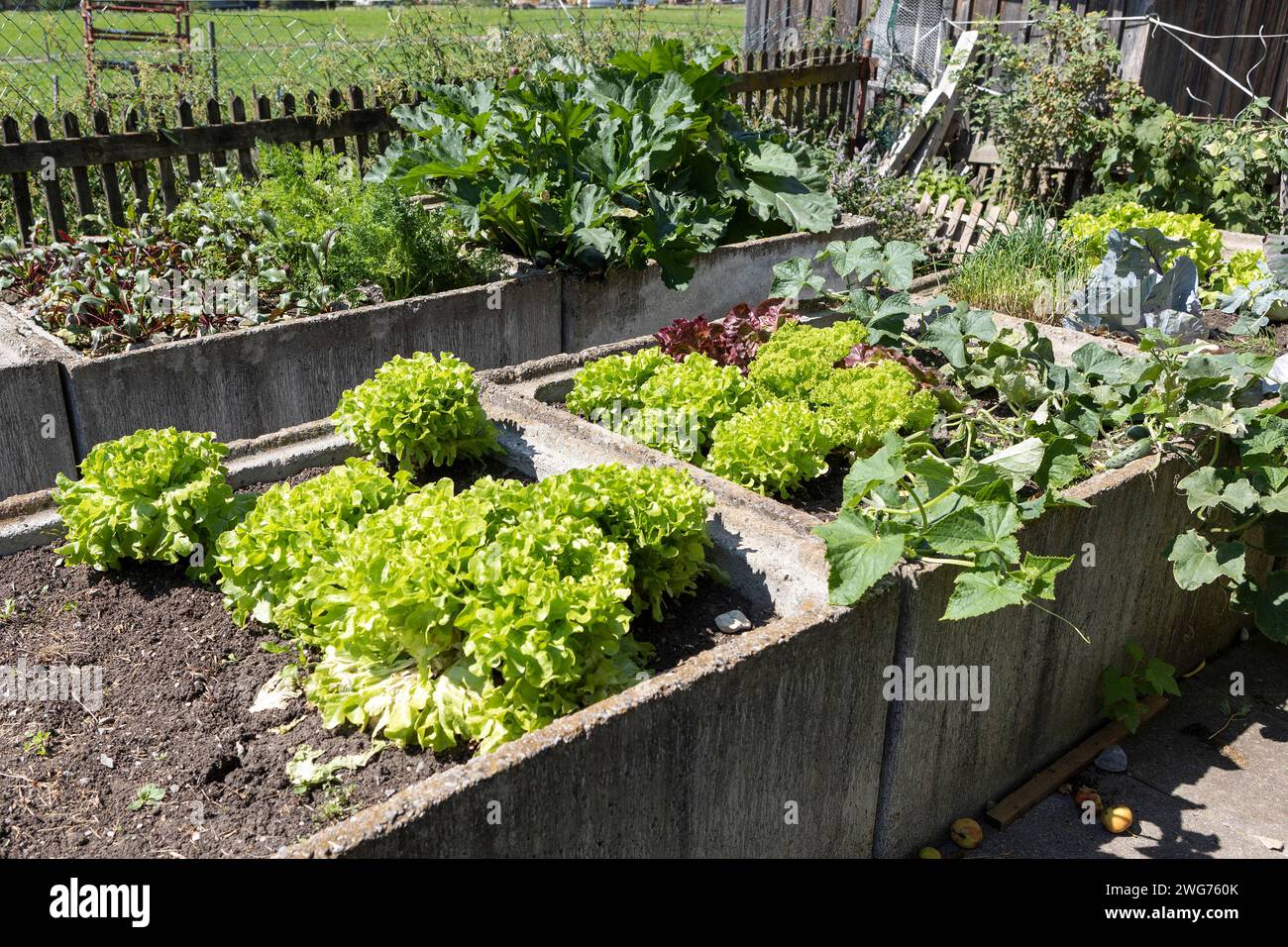High bed hi-res stock photography and images - Alamy