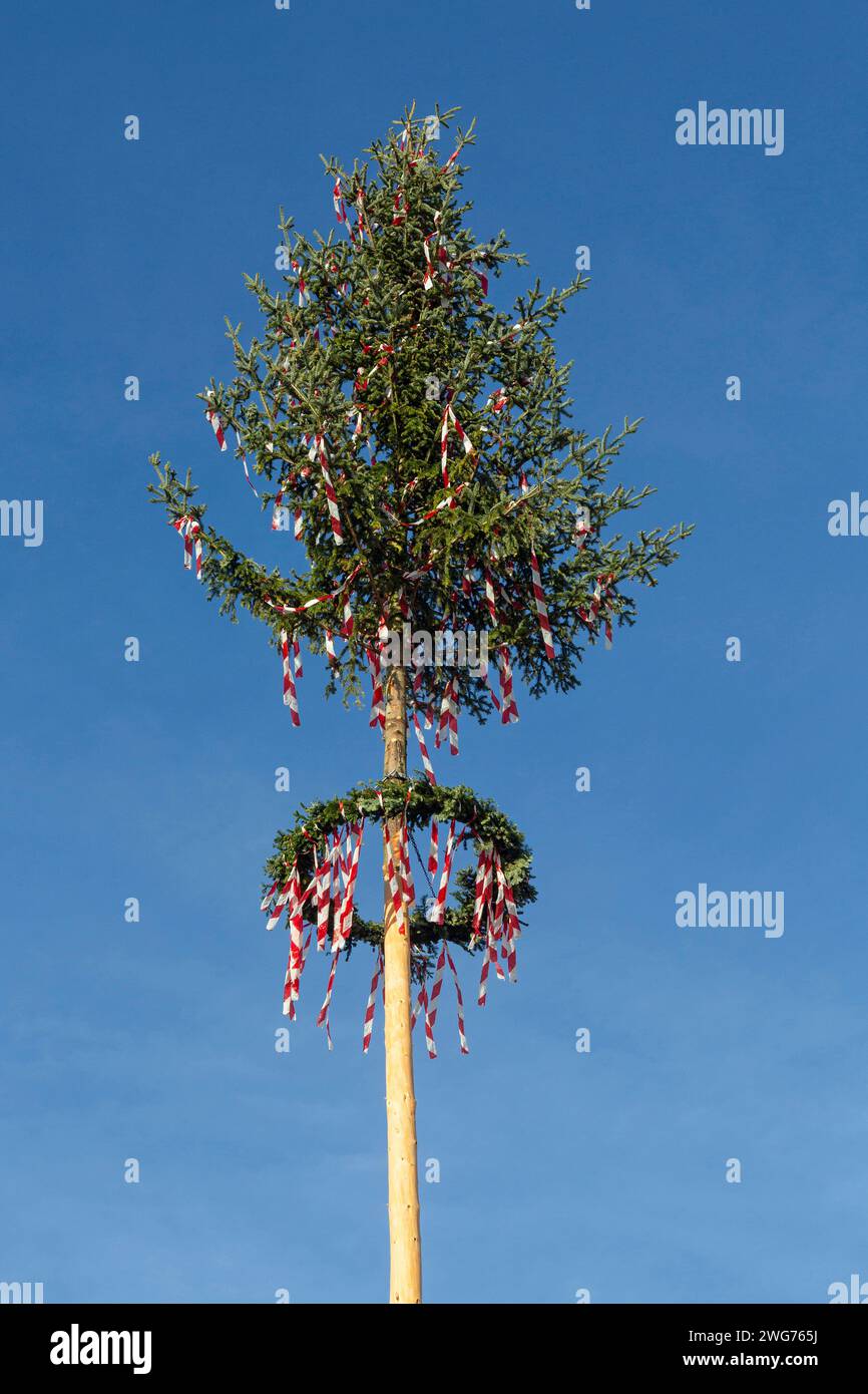 Maibaume hi-res stock photography and images - Alamy