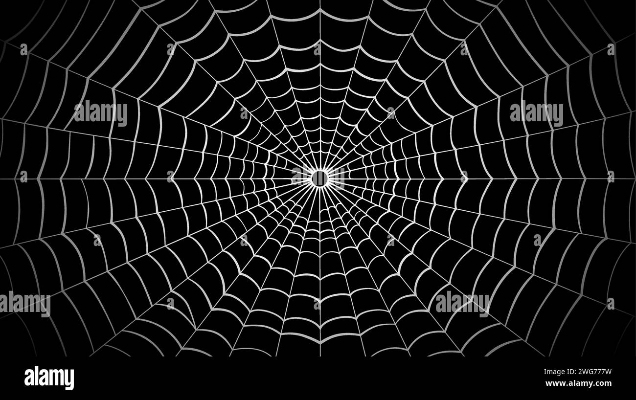 Spider web on a black background. Vector illustration of a spider web ...