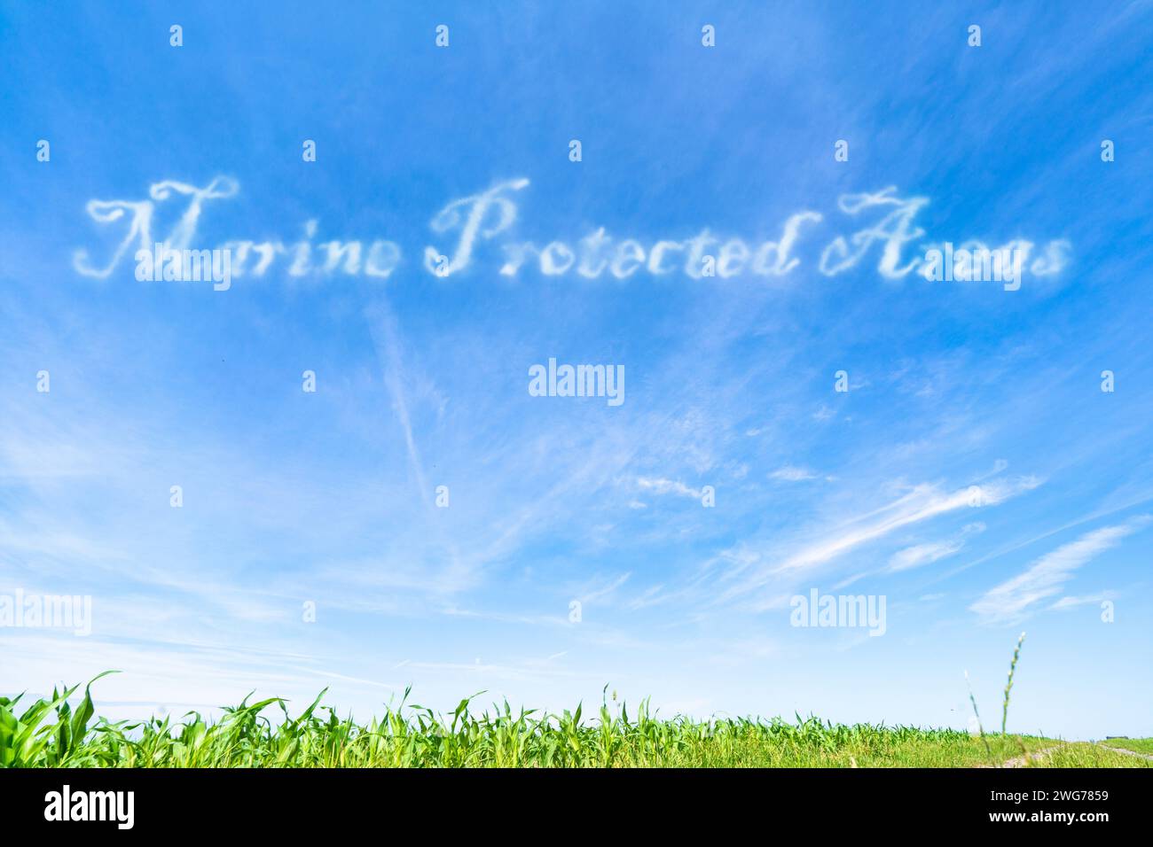 Marine Protected Areas: Zones where human activities are restricted to ...