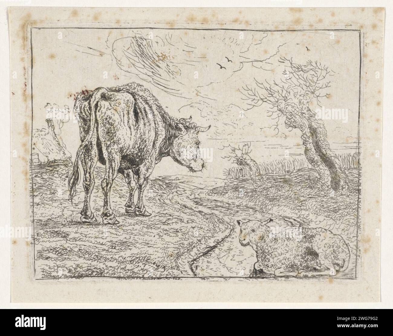 Os and Schaap, Jan Jansz. Den Uyl (II), 1632 - 1679 print A standing ox ...