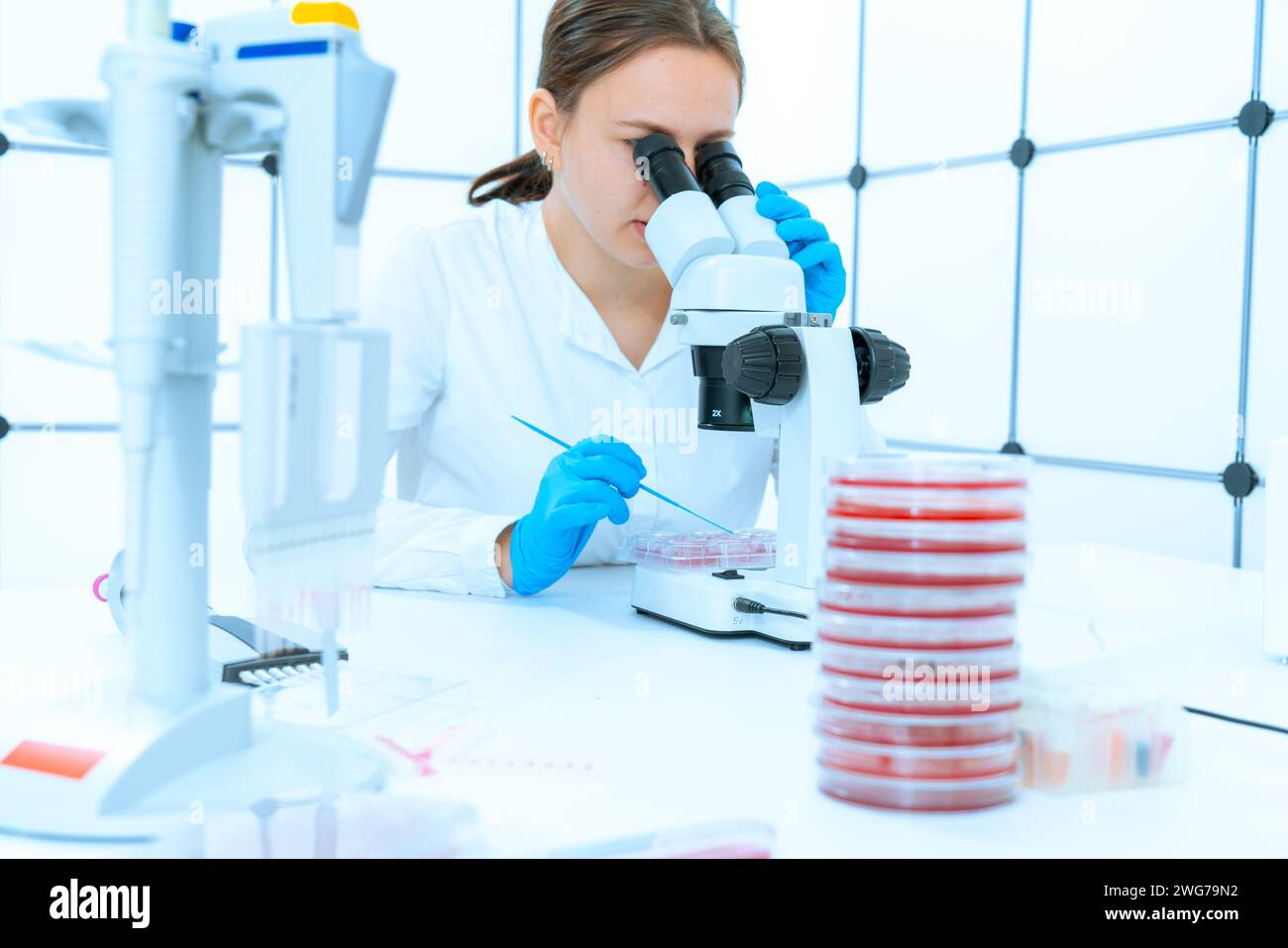 Microbial process investigation: Microscopes allow observing microbial ...