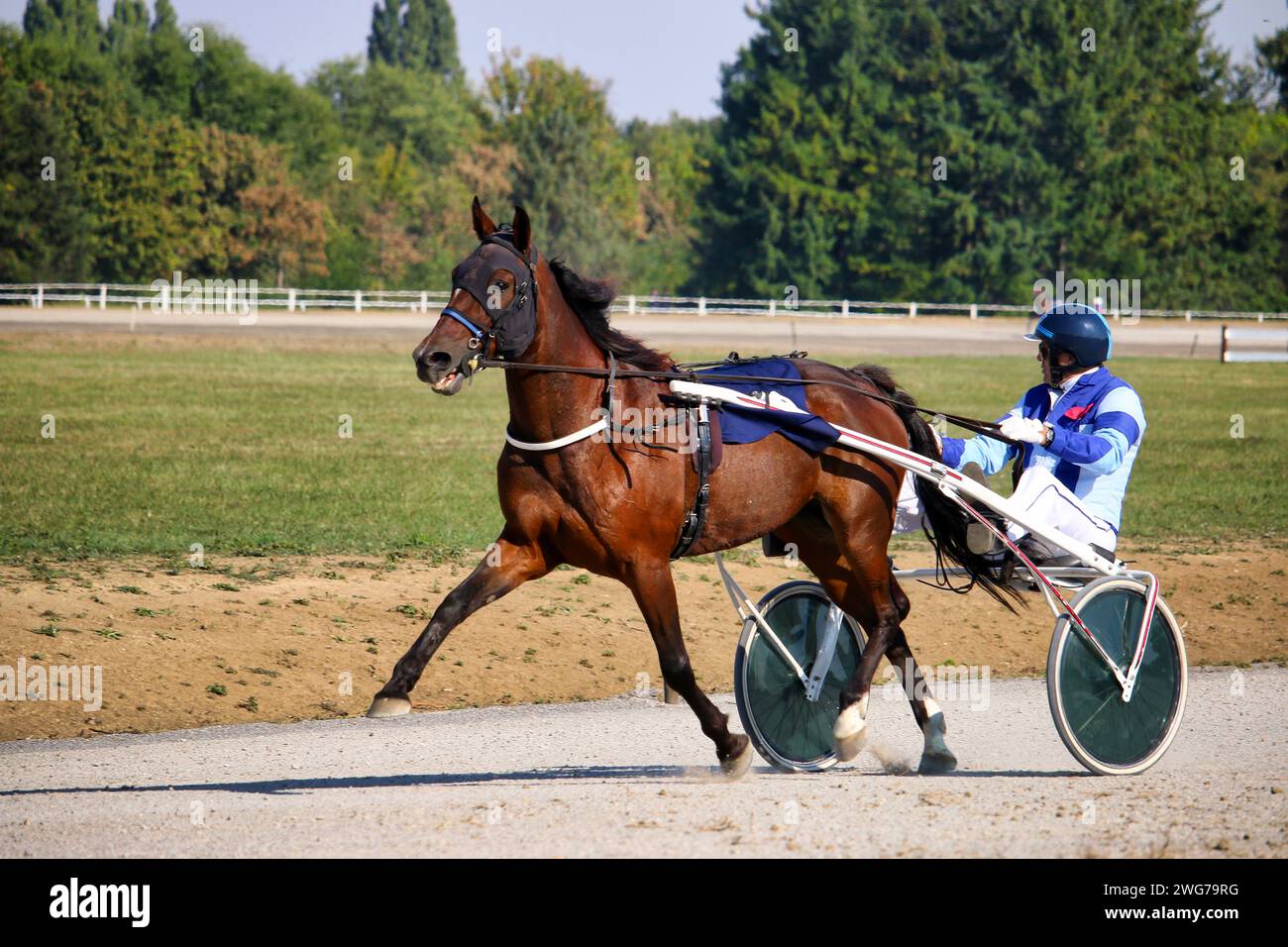 Competitions for trotting horse racing Stock Photo - Alamy