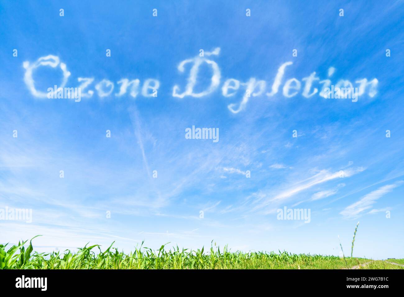 Ozone Depletion: The thinning of the ozone layer in the stratosphere ...