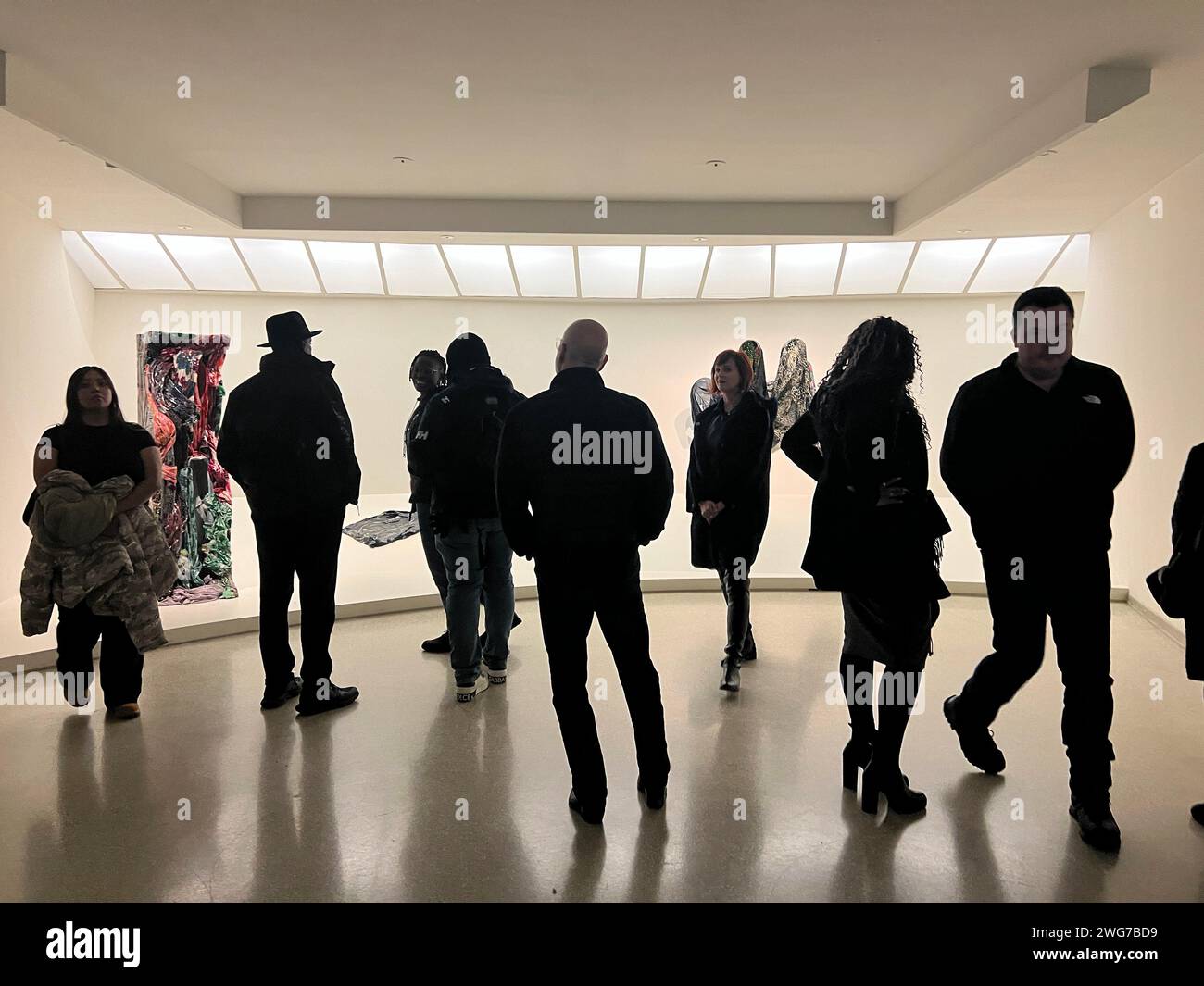 Going Dark: The Contemporary Figure at the Edge of Visibility presents ...