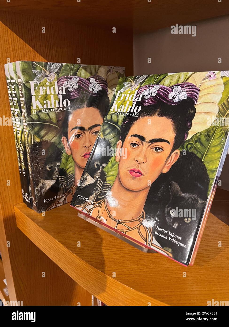 Frida kahlo museum book hi-res stock photography and images - Alamy