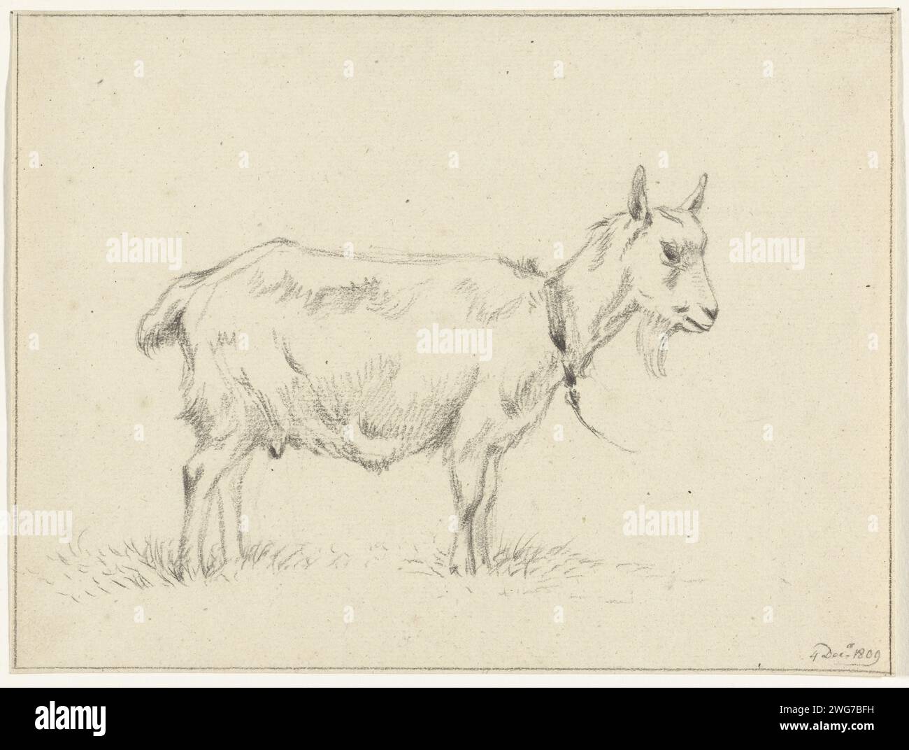 Standing goat, to the right, Jean Bernard, 1809 drawing paper. chalk ...