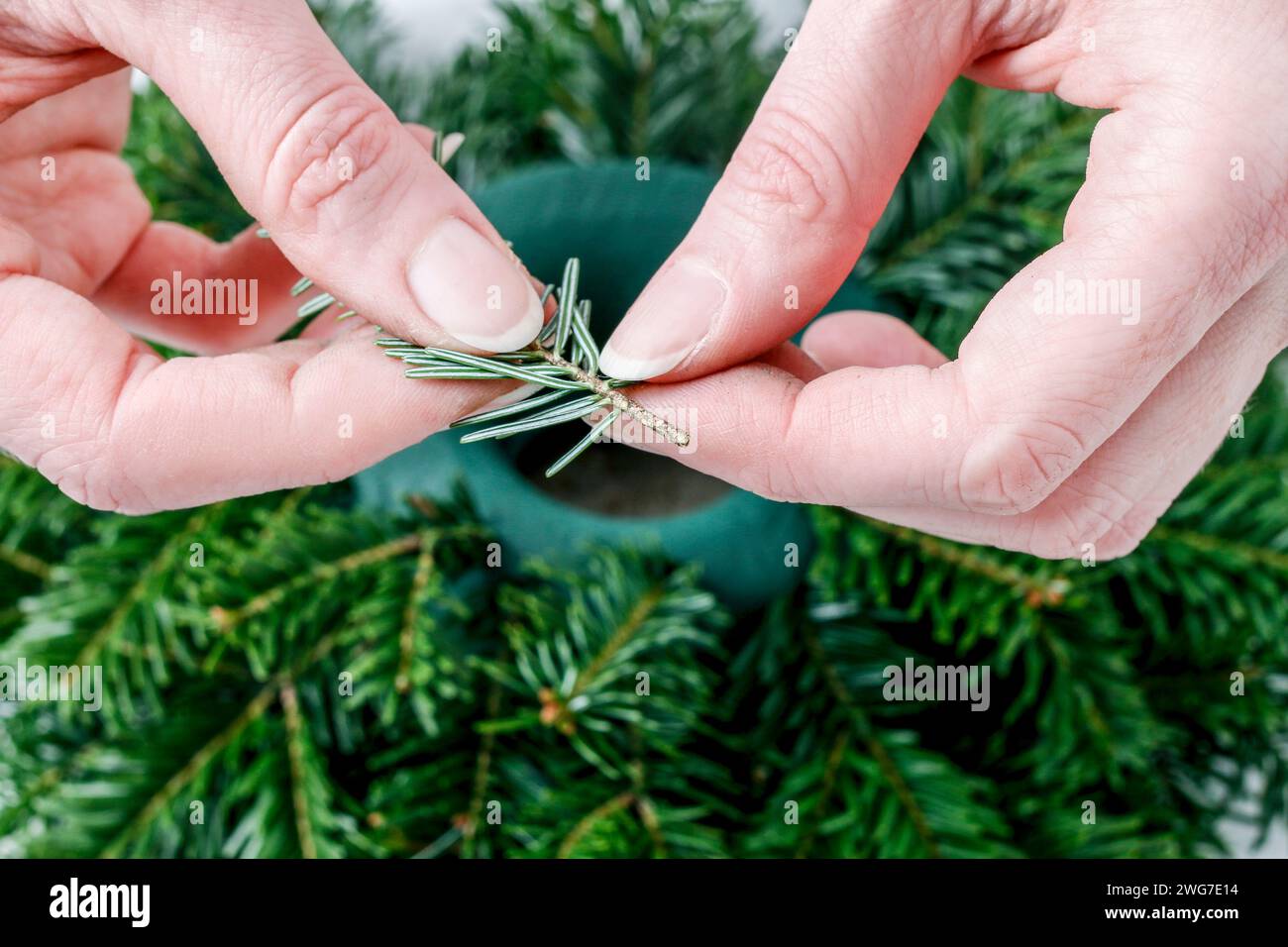 Florist at work: How to make christmas table centerpiece with fir ...