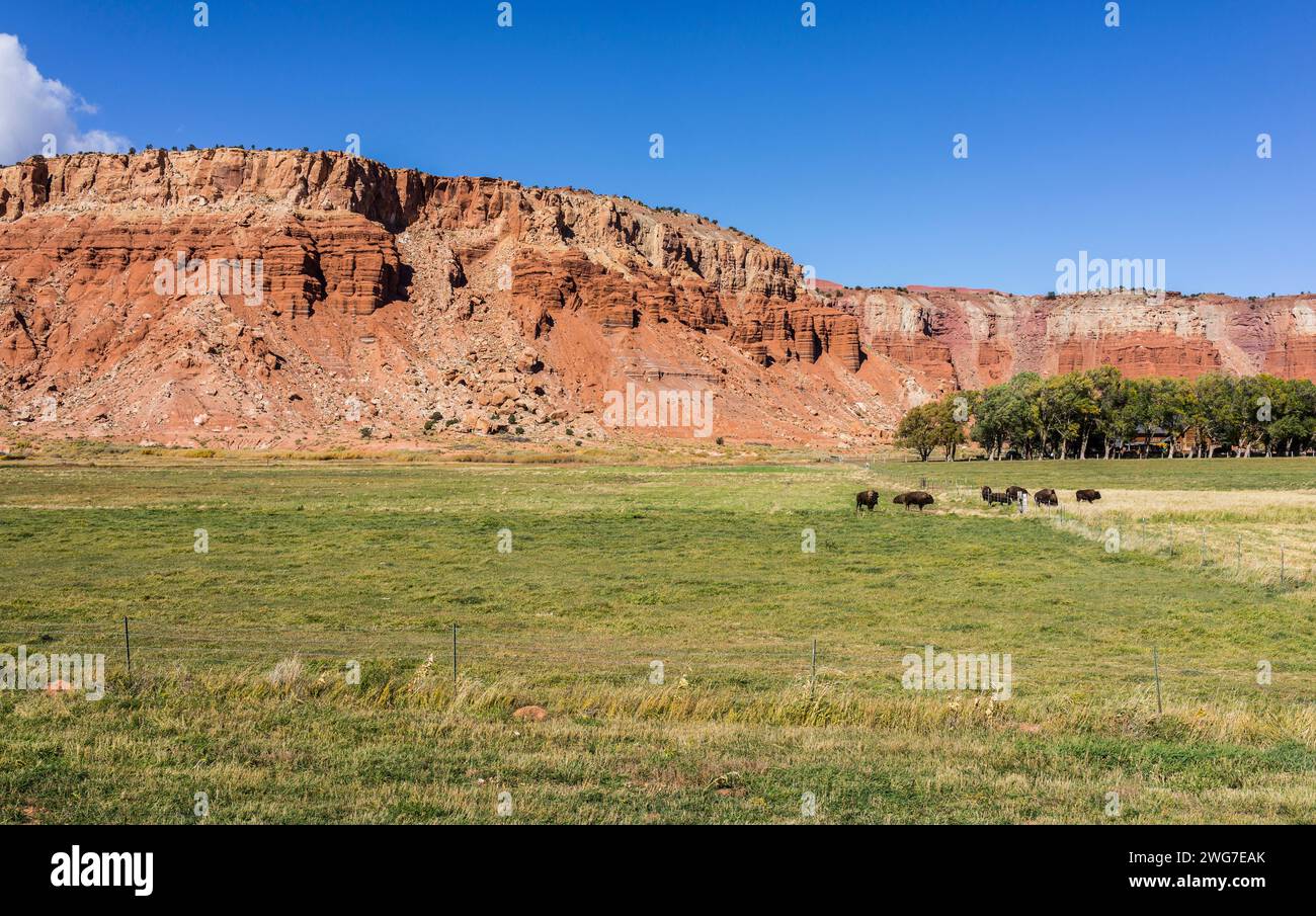 United States. Utah. Wayne County. Along the Scenic Byway 12 between ...