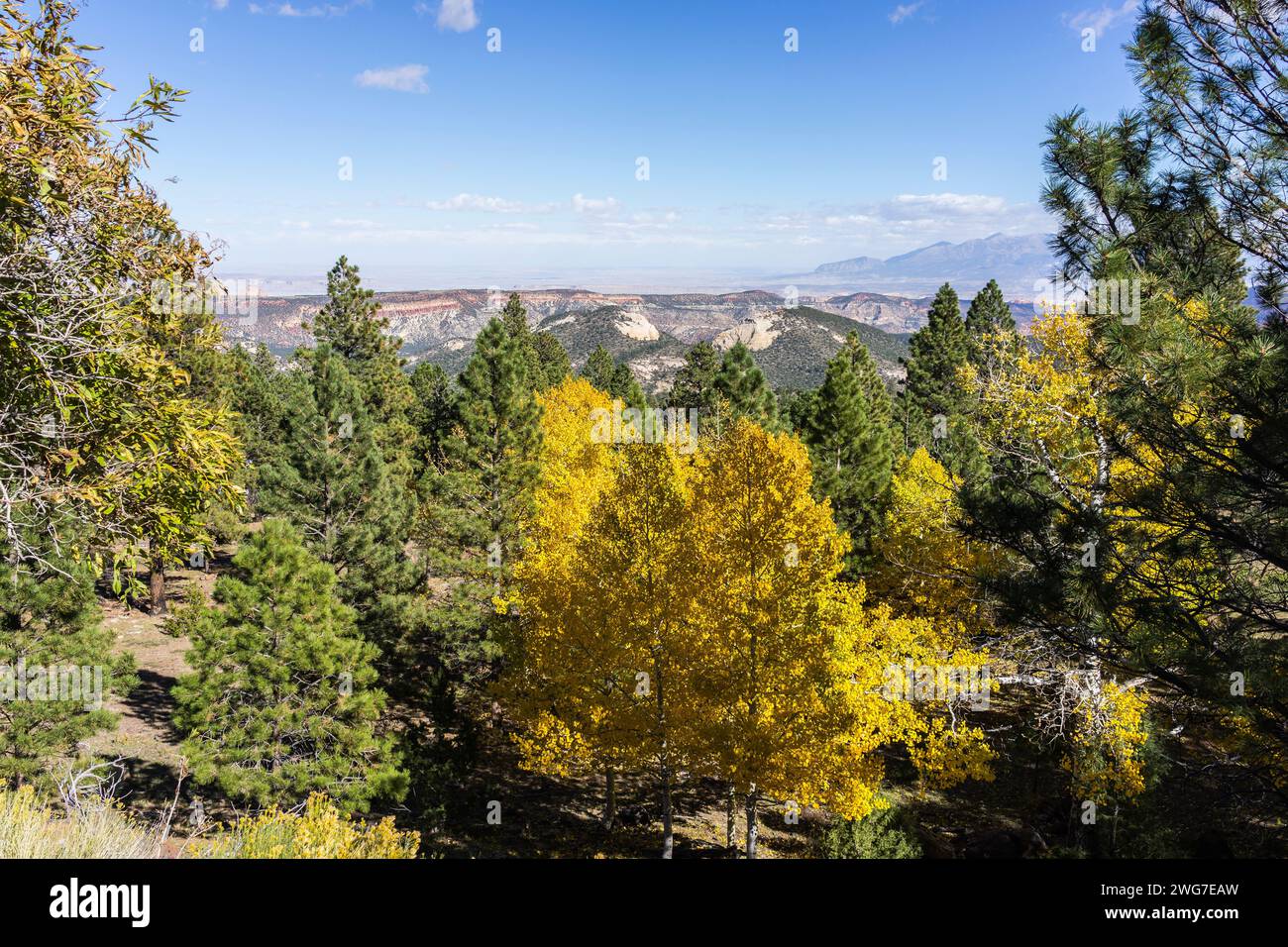 United States. Utah. Wayne County. Overlook on Capitol Reef along the ...