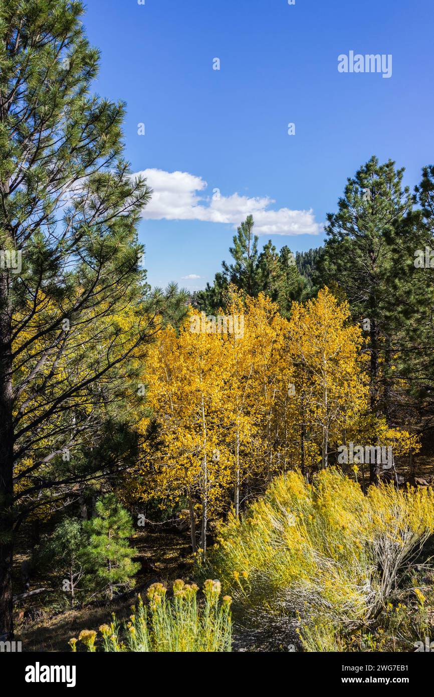 United States. Utah. Wayne County. Along the Scenic Byway 12 between ...