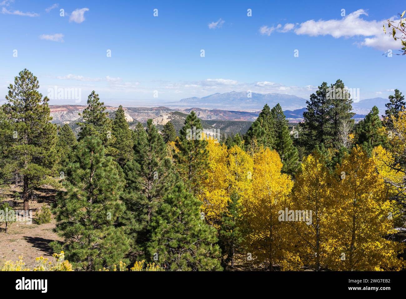 United States. Utah. Wayne County. Overlook on Capitol Reef along the ...