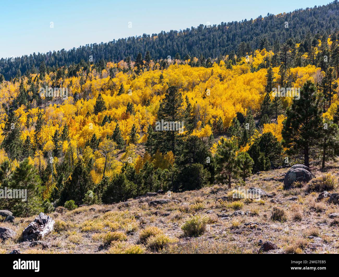 United States. Utah. Wayne County. Along the Scenic Byway 12 between ...