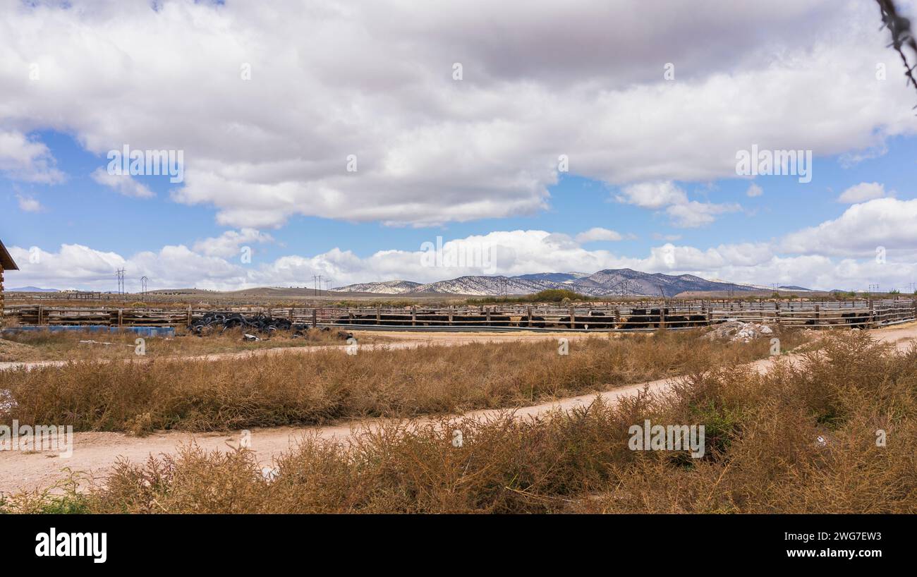 United States. Utah. Sevier County. A cattle ranch near Salina along ...