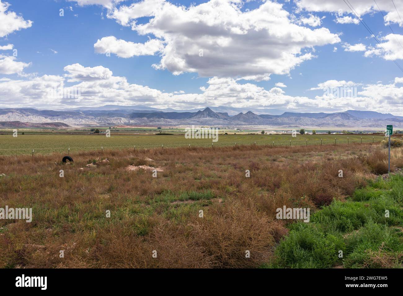 United States. Utah. Sevier County. Landscape near Salina along the US ...
