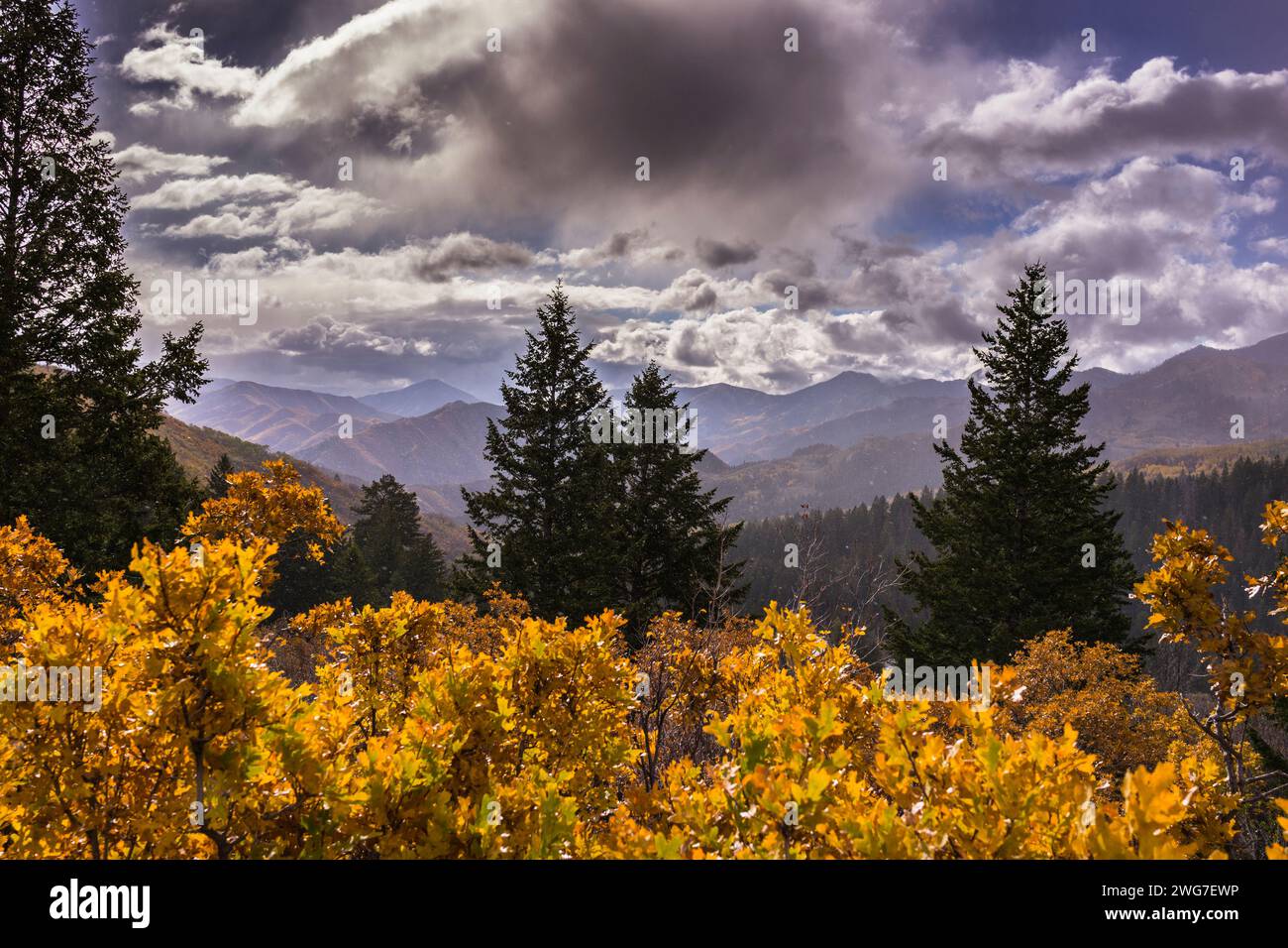 USA. State of Utah. Wasatch County. Wasatch Mountains. Along the Alpine ...