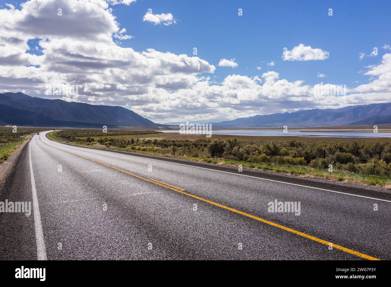 United States. Utah. Millard County. Sagebrush (Artemisia tridentata ...