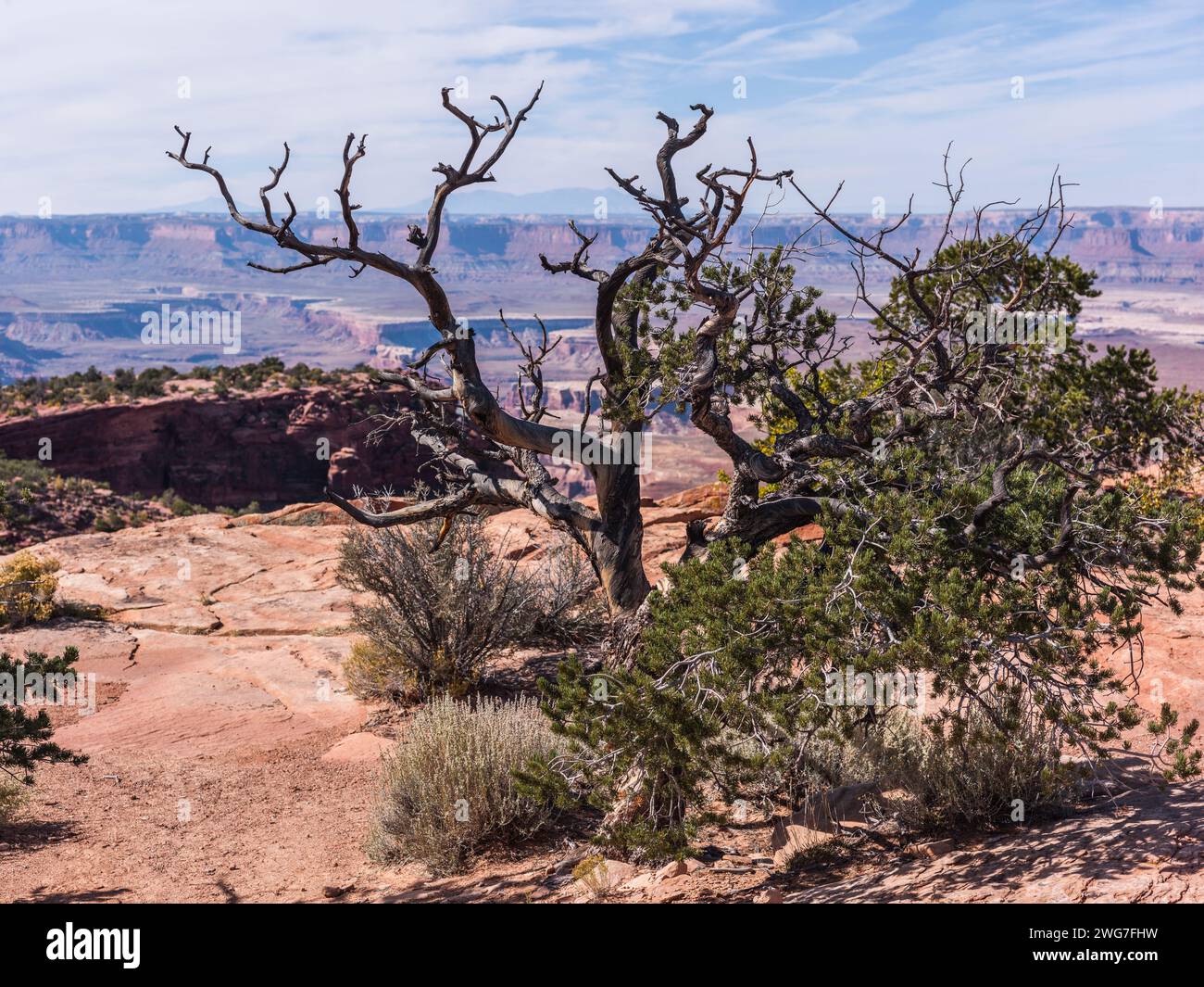 United States. Utah. Canyonlands National Park. "Isle in the Sky" mesa ...