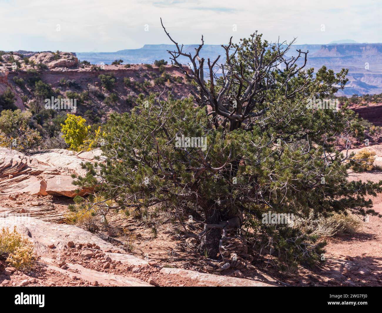 Candlestick tower hi-res stock photography and images - Alamy