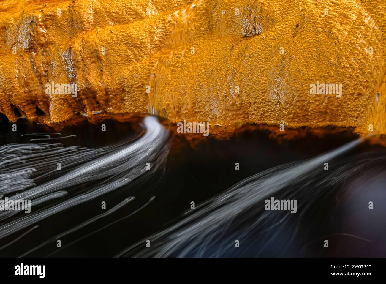 Vivid details of the iron-rich sediment and microbial mats along the ...