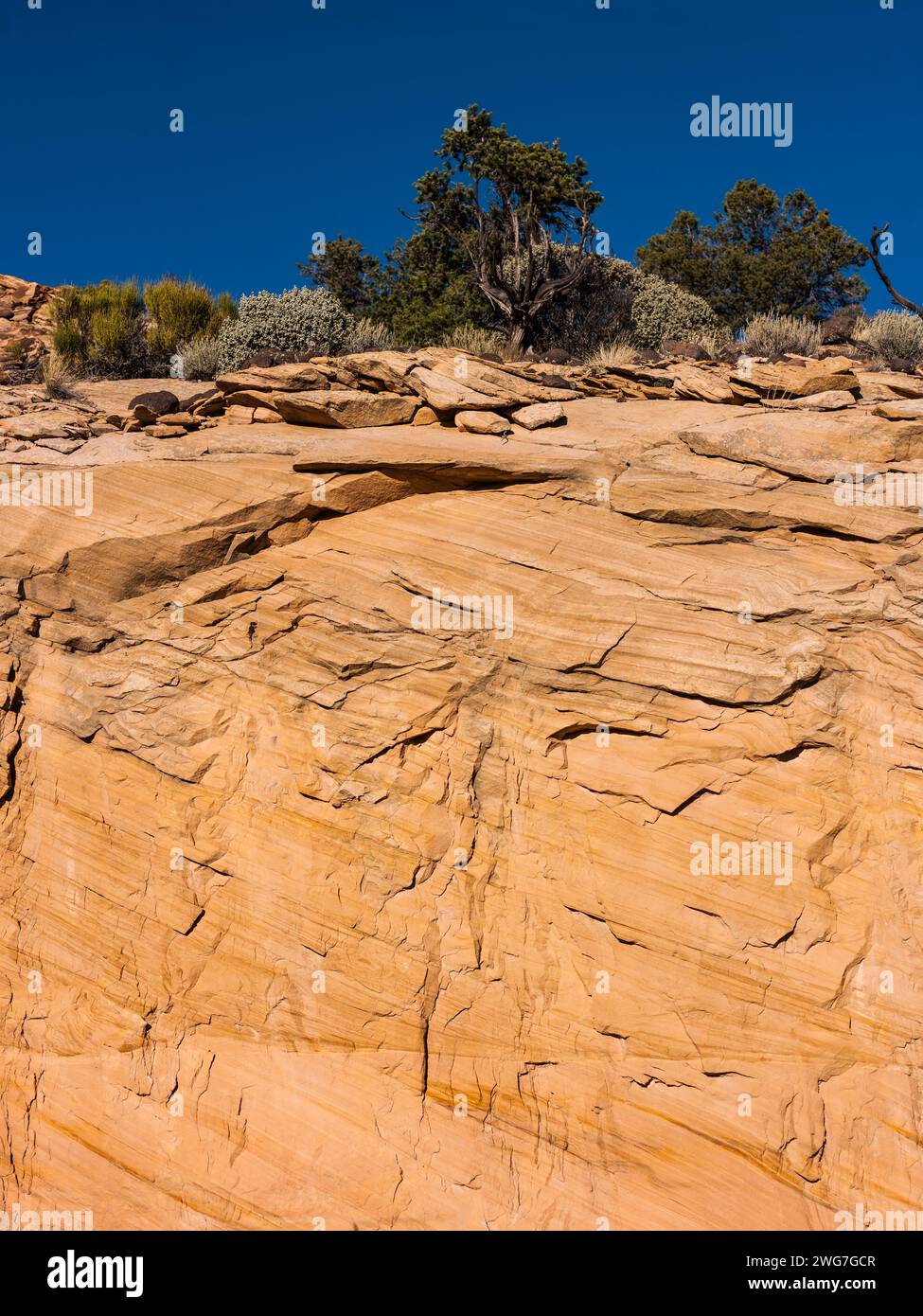 United States. State of Utah. Garfield County. Sandstone cliffs along ...