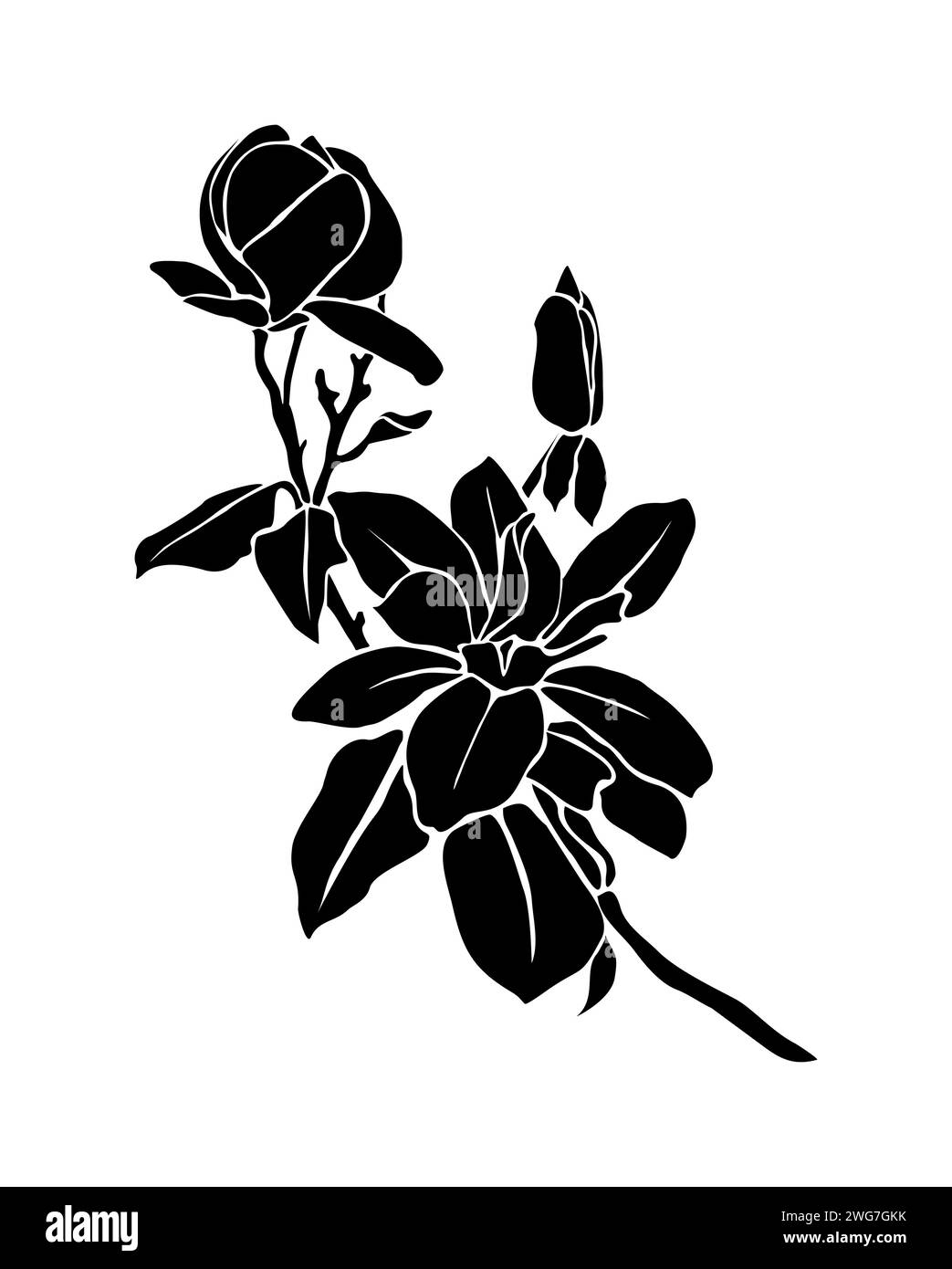 Black silhouette of magnolia flower branch vector Stock Vector Image ...